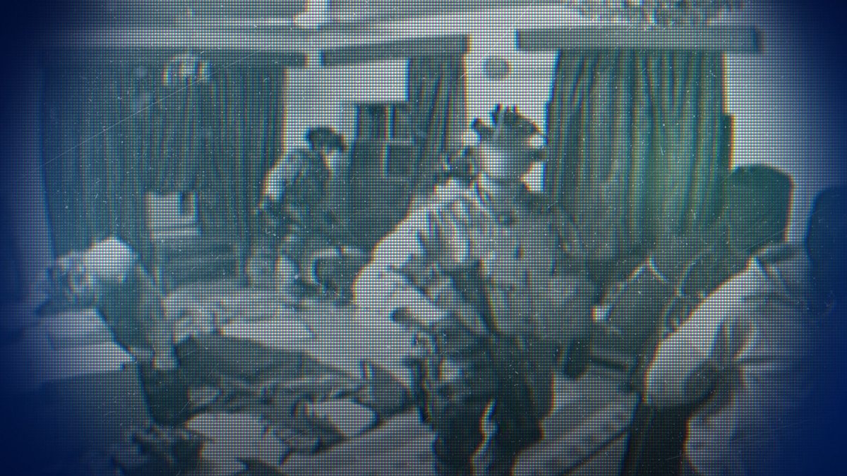 Panorama - Special Forces: I Saw War Crimes - BBC iPlayer