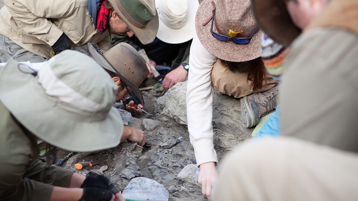 BBC One - Walking With Dinosaurs - The life of a palaeontologist in Alberta