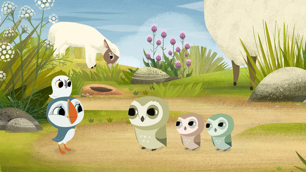 Puffin Rock - Series 2: 39. Day and Night - Audio Described - BBC iPlayer