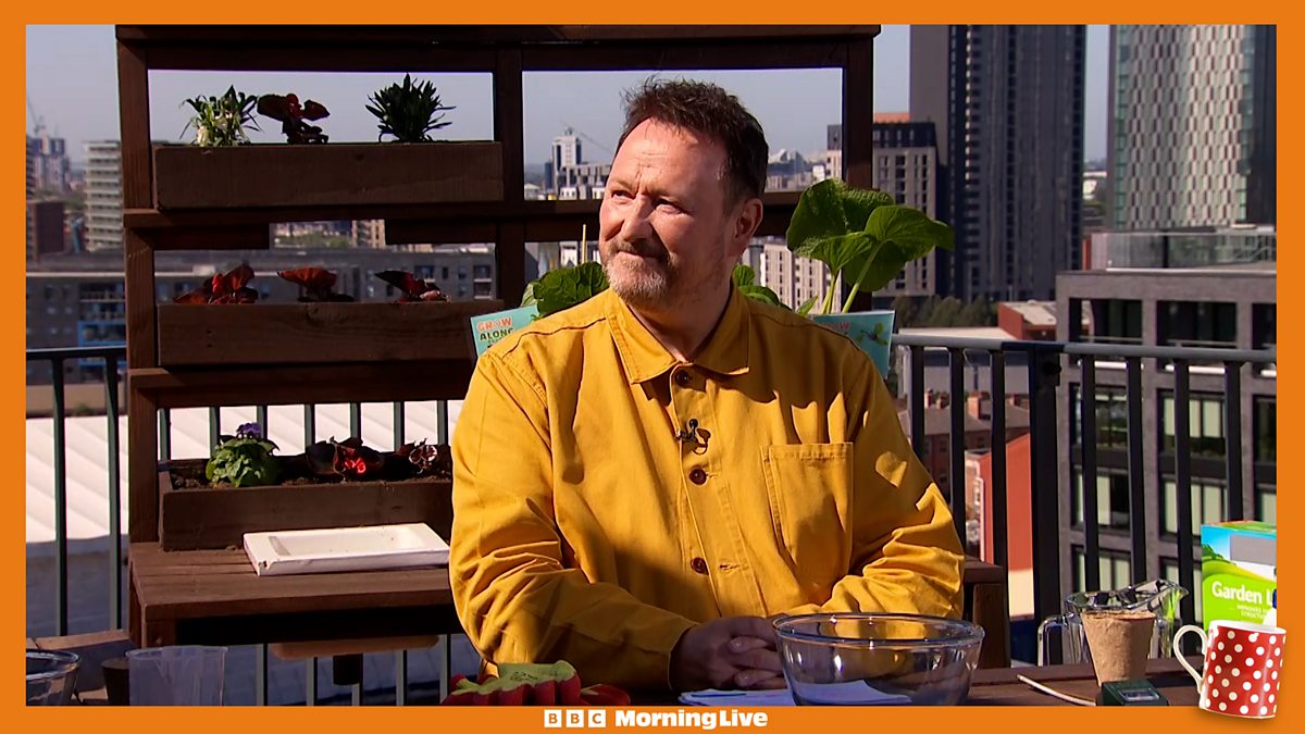 BBC One - Morning Live, MARK LANE GROW