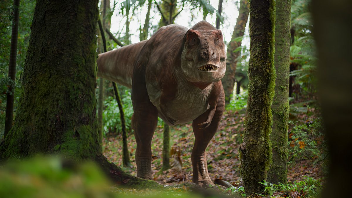 BBC One - Walking With Dinosaurs - Dino guide: Creating T. rex and Triceratops