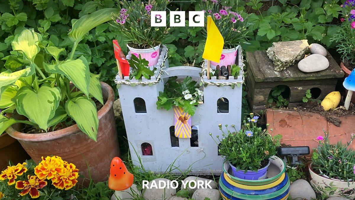 BBC Radio York - BBC Radio York, 'I built a tiny castle for mice in my ...