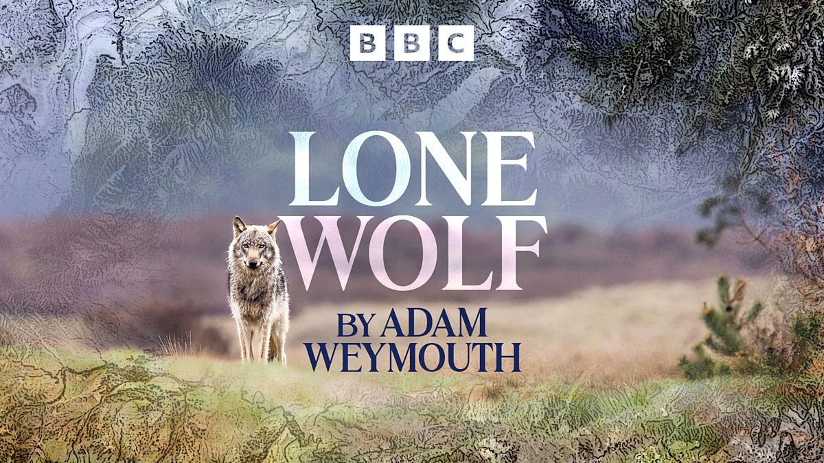 BBC Radio 4 - Lone Wolf by Adam Weymouth - Available now
