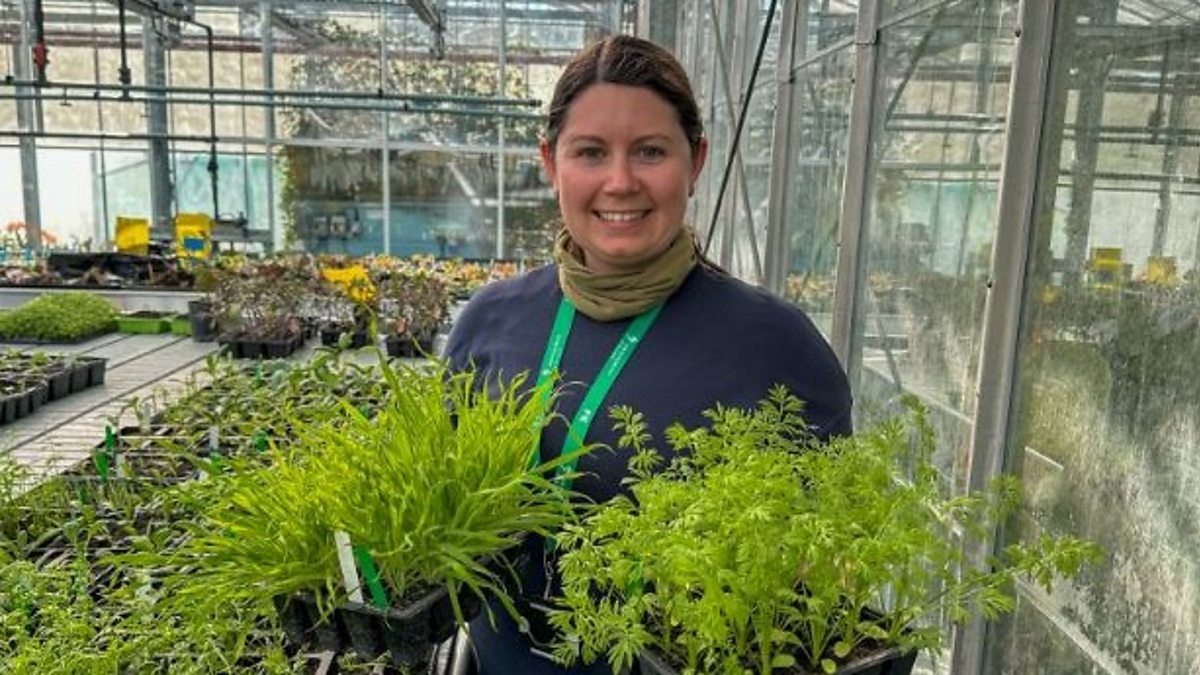 BBC Radio York - Daytimes on BBC Radio York, With Joanita Musisi (28/05 ...