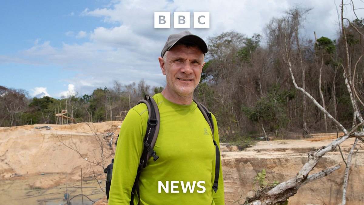 BBC World Service - Newshour, Widow of British journalist on getting ...