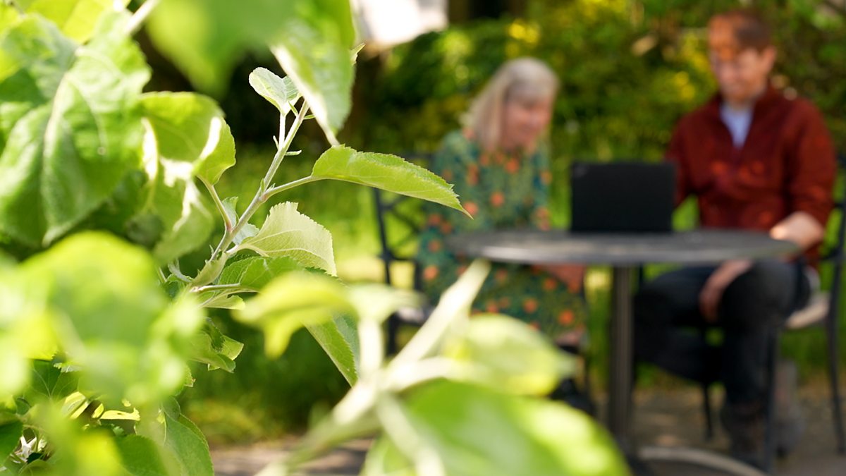 BBC Two - Springwatch, Take a trip down Springwatch Street