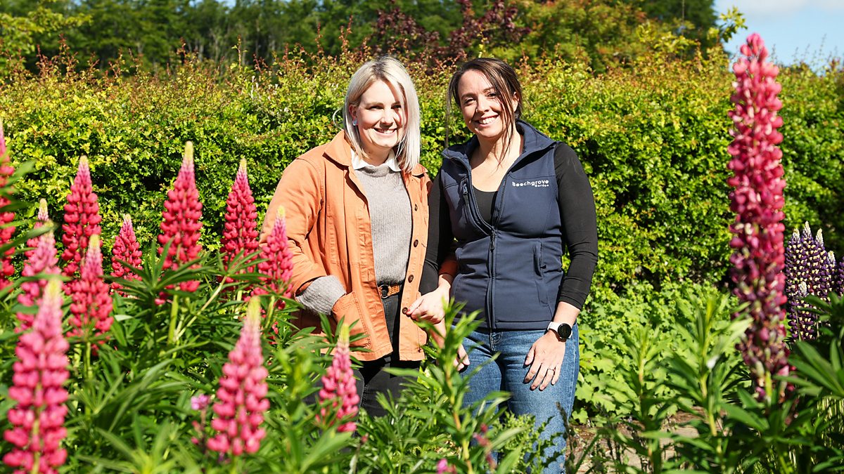 Beechgrove Garden - 2025: Episode 10 - BBC iPlayer