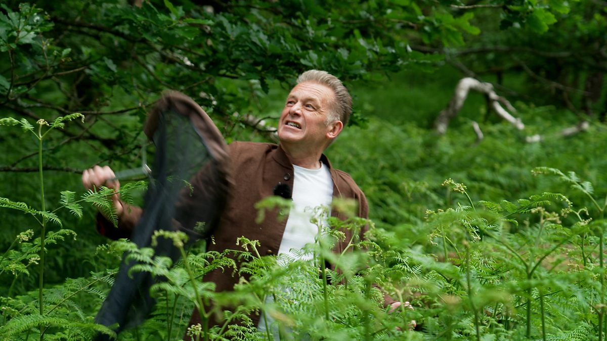 BBC Two - Springwatch, 2025, Episode 8, Springwatch Flyoblitz