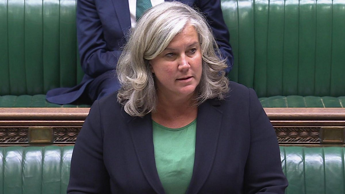 House of Commons - HS2 Reset Statement - BBC iPlayer