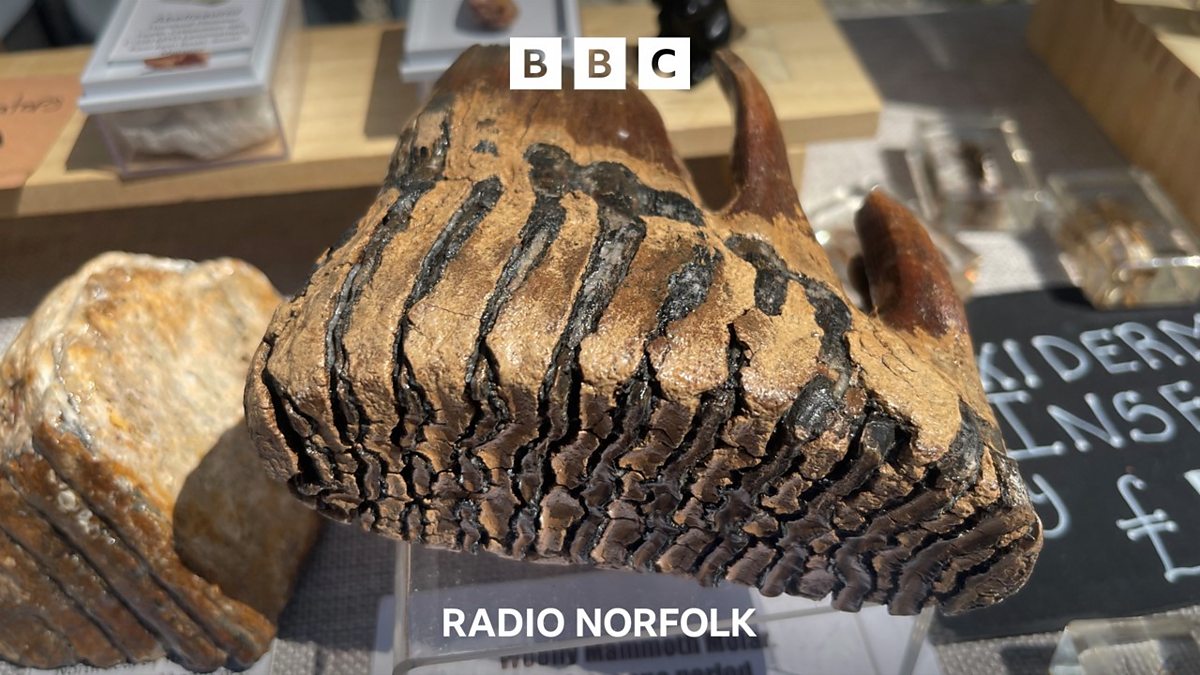 BBC Radio Norfolk - Secret Norfolk, The fossil finder of North Norfolk