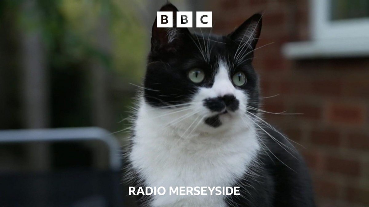 BBC Radio Merseyside - BBC Radio Merseyside, Spud the Cat: Scouse TV star