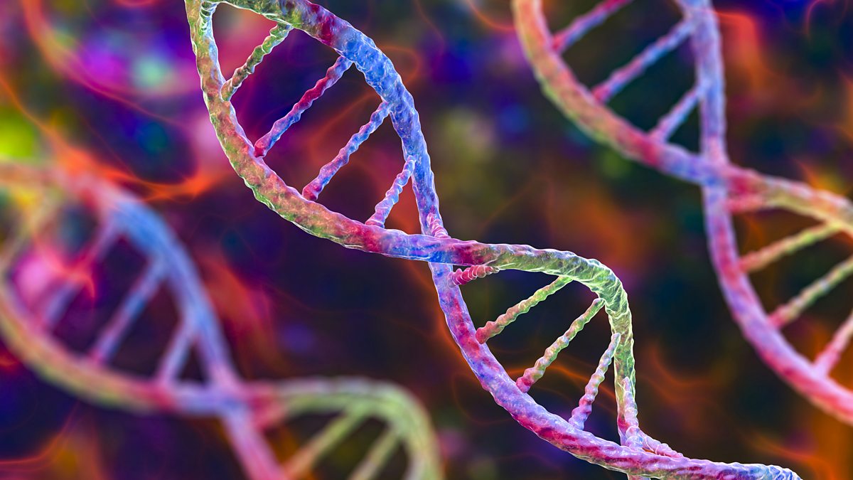 BBC News - Scientists Embark On Synthetic DNA Journey