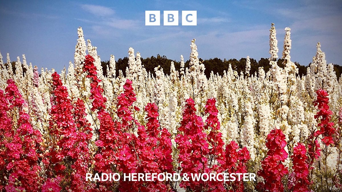 BBC Hereford & Worcester - BBC Hereford & Worcester, Pershore's world ...