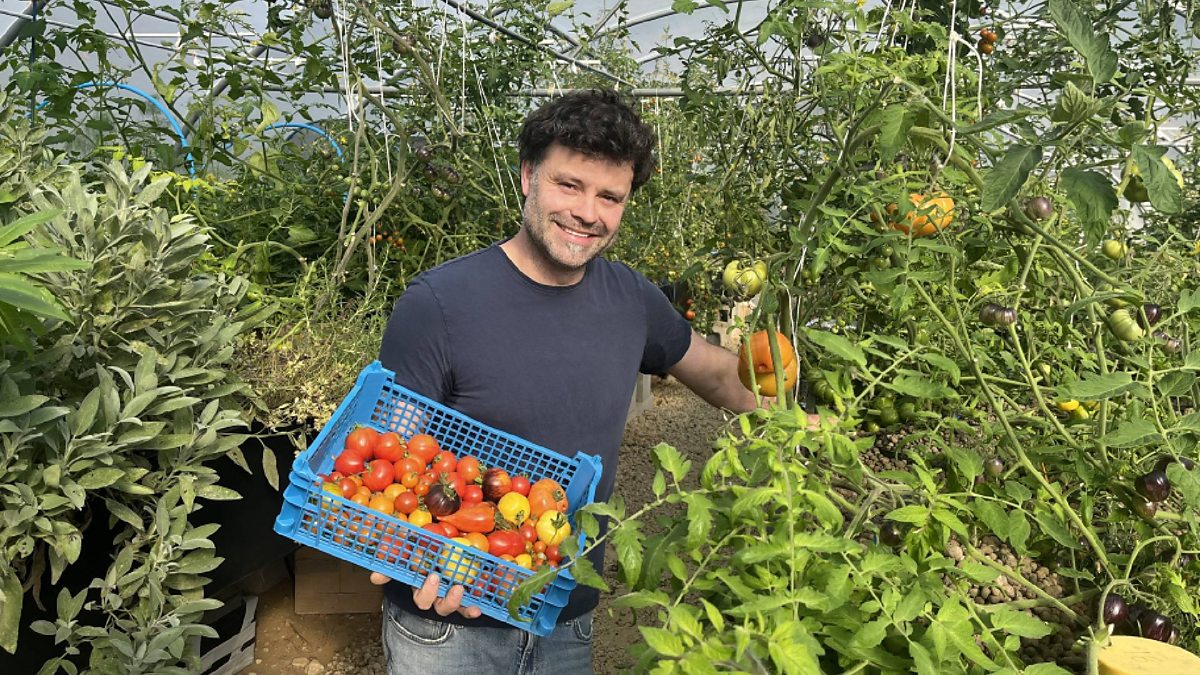 BBC Radio Sheffield - The Grow Show, The Grow Show 29th June
