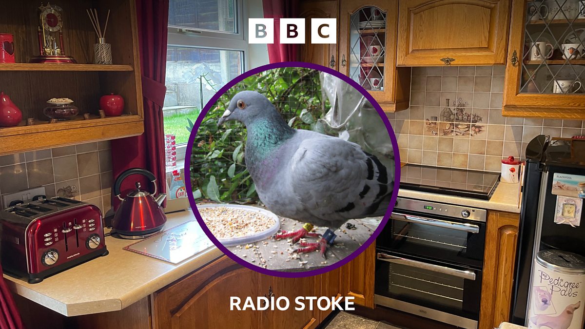 BBC Radio Stoke - BBC Radio Stoke, Truro to Congleton: The epic journey ...