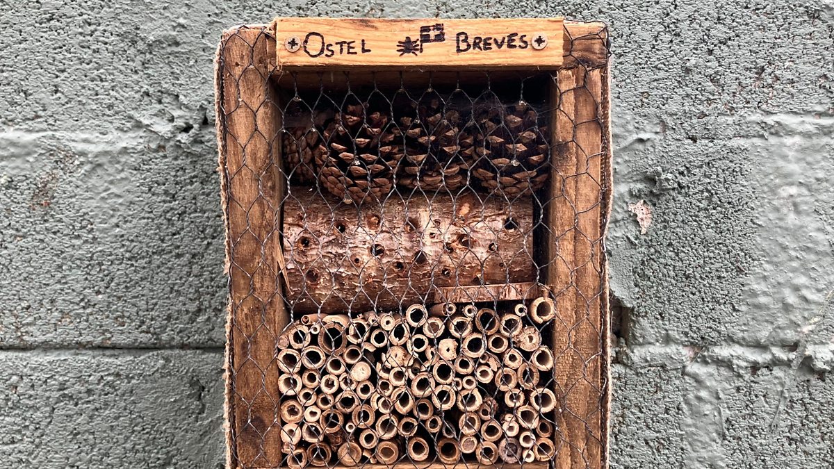 BBC Radio Cornwall - James Churchfield, Matt Woodley sits in (09/07 ...