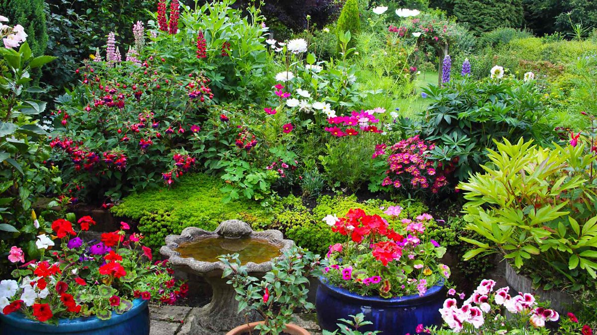 BBC Radio Ulster - Thought for the Day from Radio Ulster, Dr Ciara ...