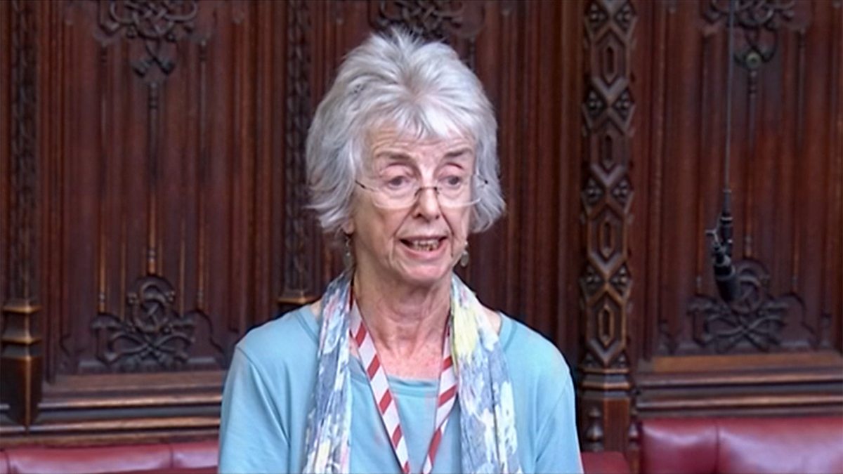 House of Lords - Asylum Support Bill - BBC iPlayer