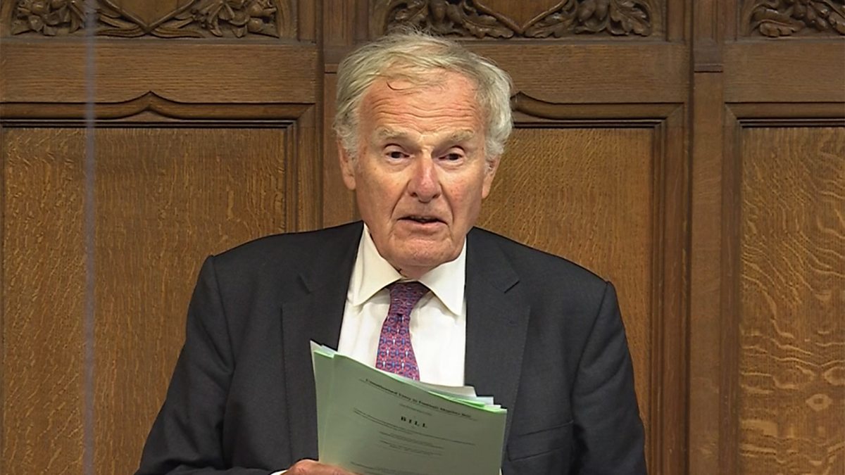 House of Commons - 11/07/2025 - BBC iPlayer