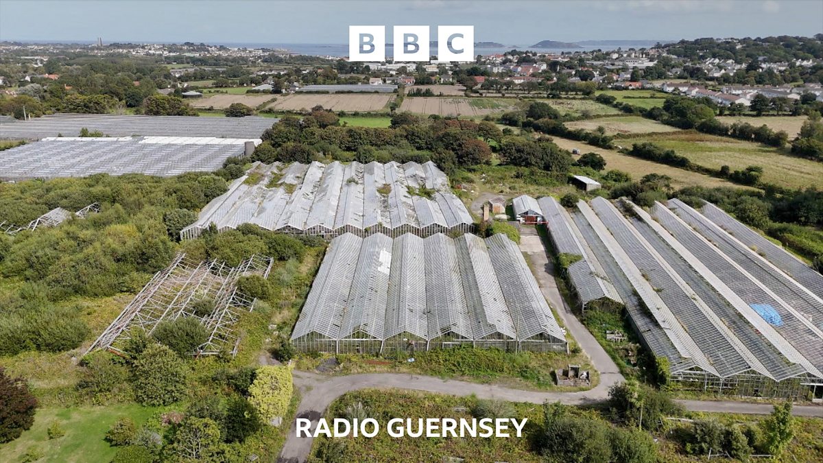 BBC Radio Guernsey - BBC Radio Guernsey, Local glasshouses in disrepair