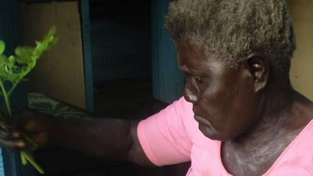 BBC World Service - Witness History, Bo: The death of a language, 'Don ...