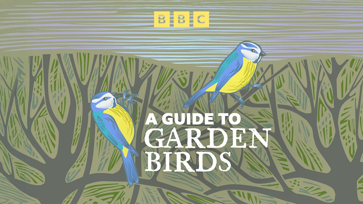 BBC Radio 4 Extra - A Guide to Garden Birds - Available now