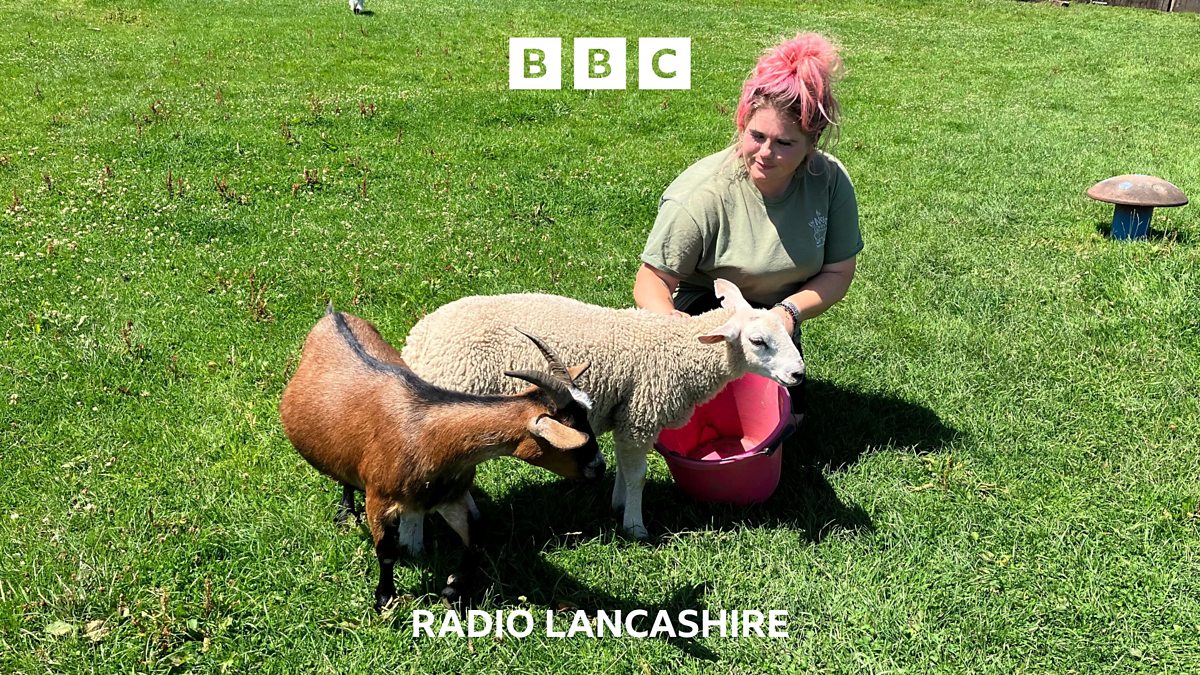 BBC Local Radio - Farmwatch, Lancashire, Educating with animals