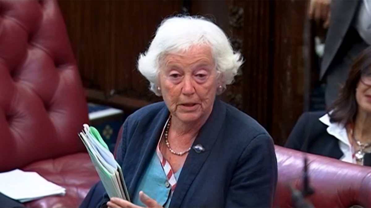 House of Lords - Hereditary Peers Bill, Part 2 - BBC iPlayer