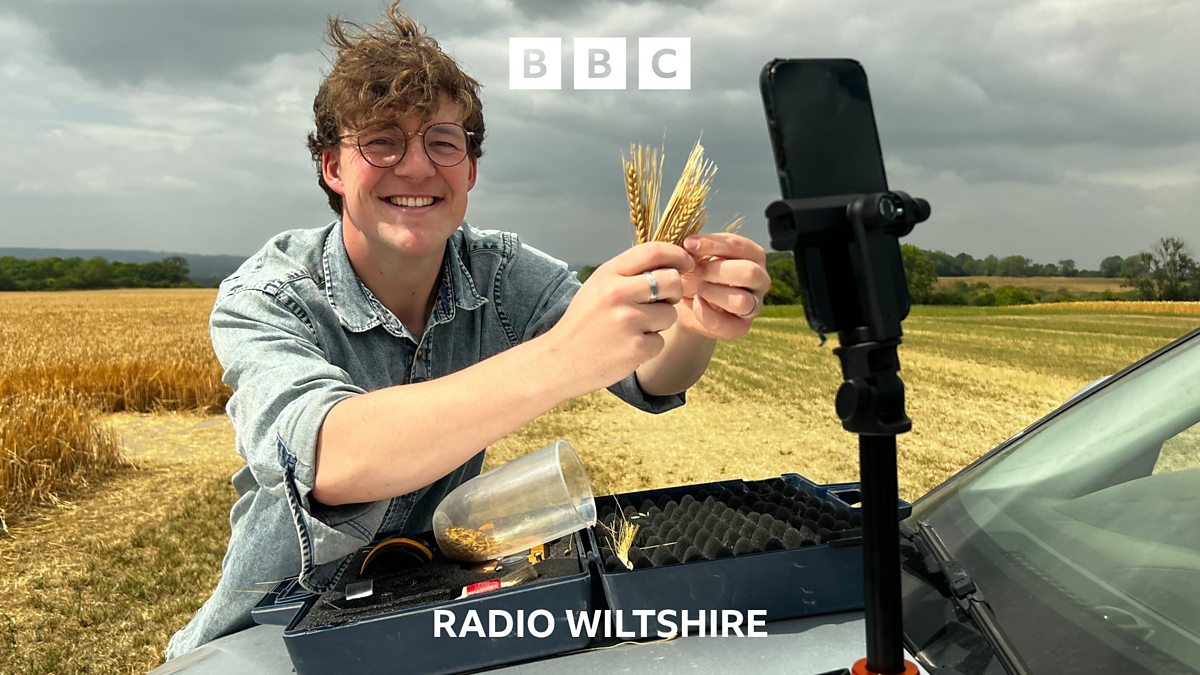 BBC Local Radio - Farmwatch, Wiltshire, The farmers streaming from the ...