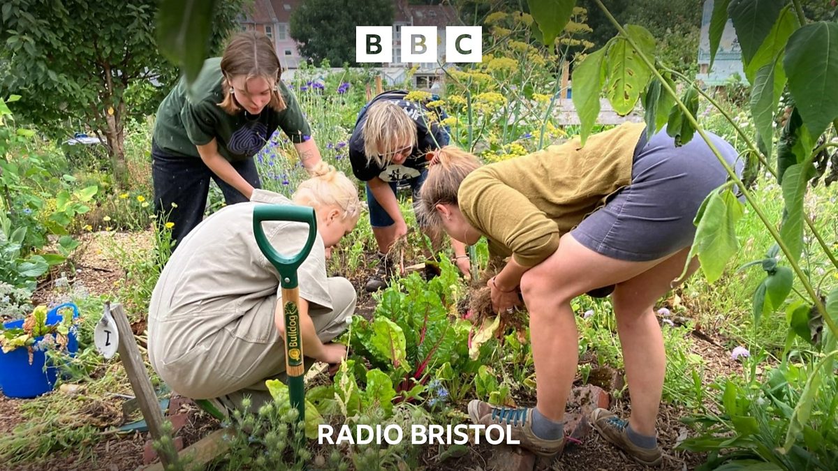 BBC Local Radio - Farmwatch, Bristol, The city farm that's a "pocket of ...