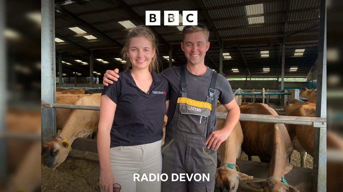 BBC Local Radio - Farmwatch, Devon, Too little rain means Devon cows ...