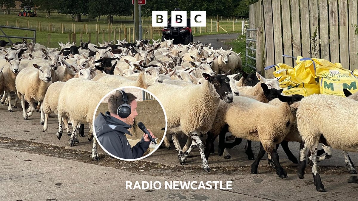 BBC Local Radio - Farmwatch, Newcastle, The college that trains our ...