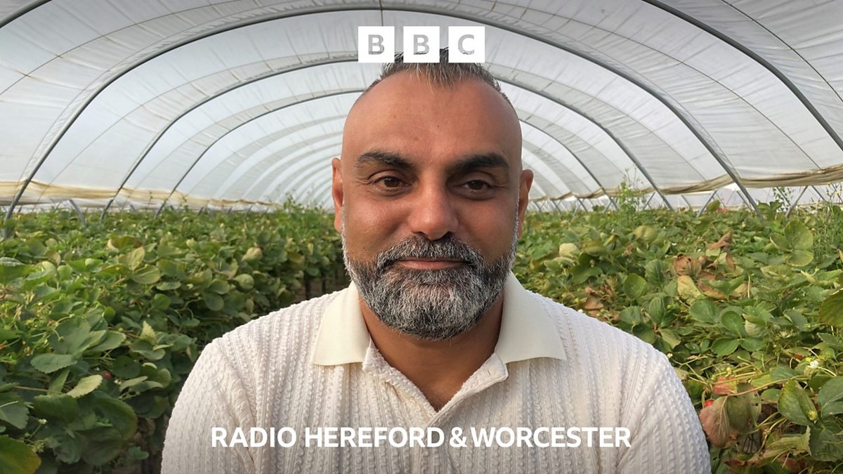 BBC Local Radio - Farmwatch, Hereford & Worcester, In depth: How does a ...