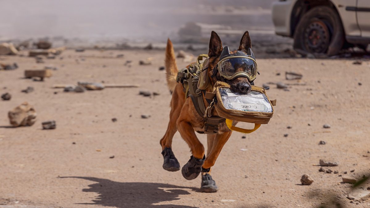 BBC Four - Dark Hearts, Series 2, Episode 3