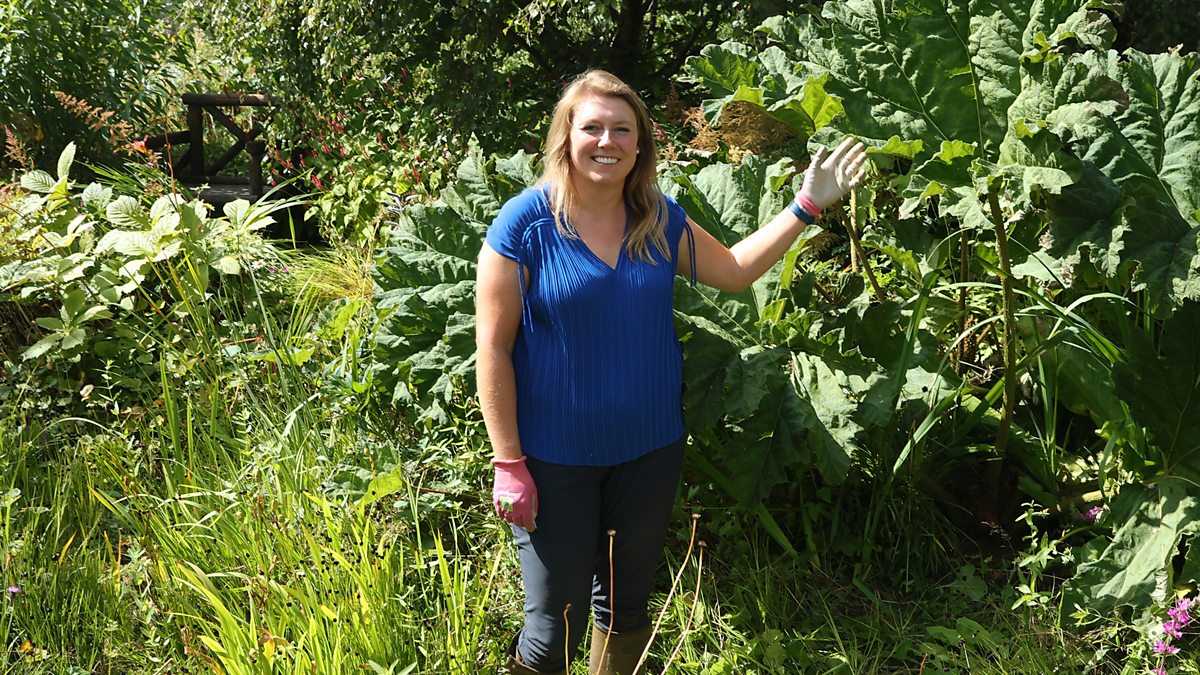 BBC Scotland - Beechgrove Garden, 2025, Episode 21