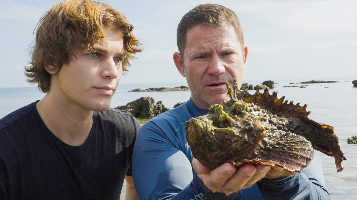 Deadly 60 - Series 6: 7. Camouflage Killers - BBC iPlayer