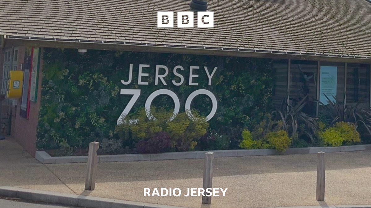 BBC Radio Jersey - BBC Radio Jersey, Jersey Zoo makes loss of £4.8 ...