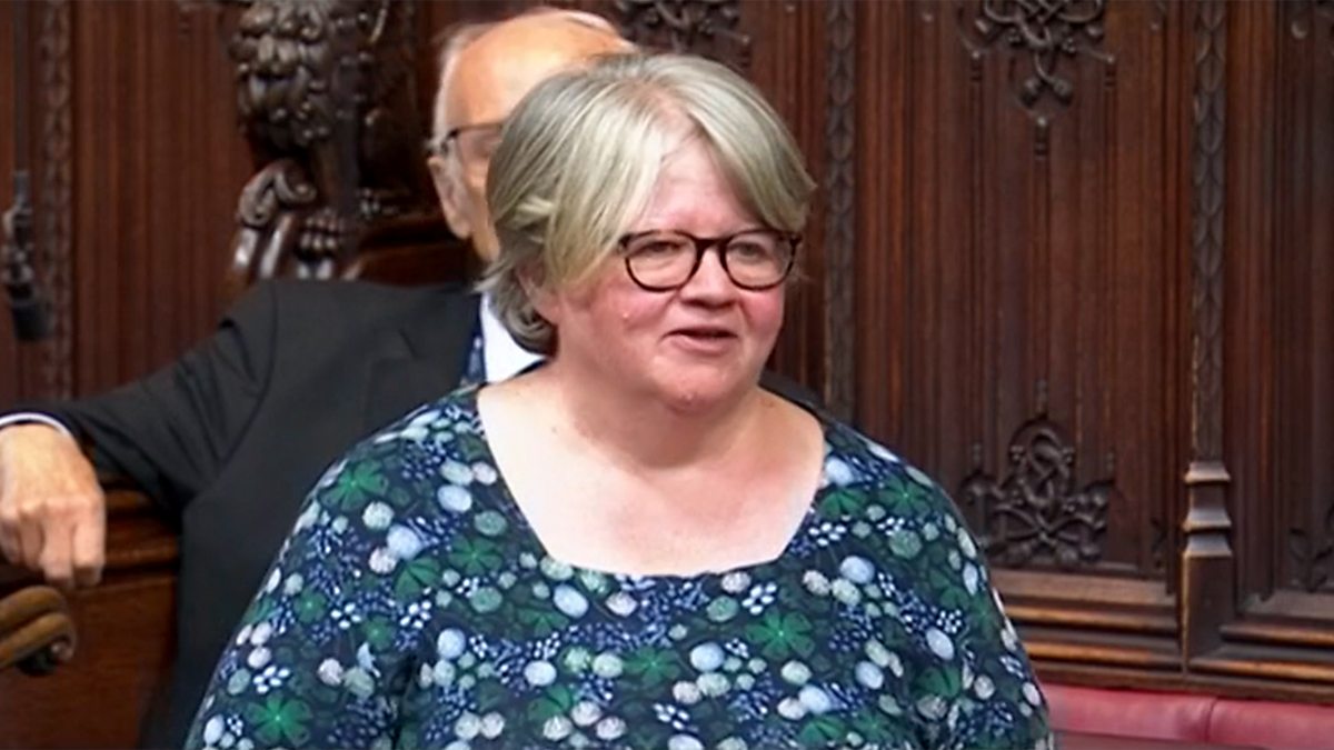 House of Lords - Planning and Infrastructure Bill, Part 3 - BBC iPlayer