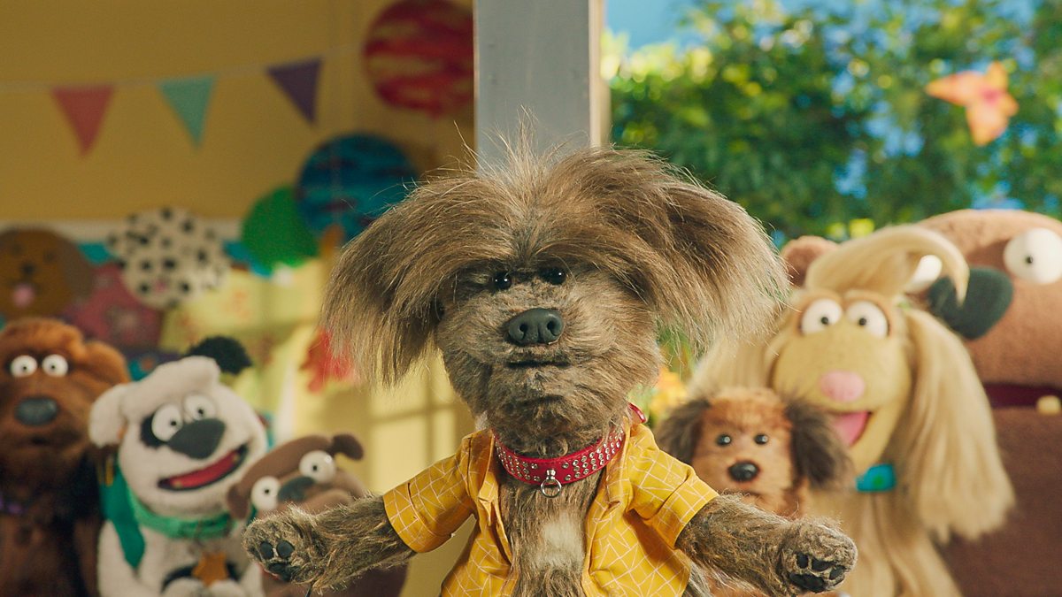 Dodges Pup School - Series 2: 4. In or Out - BBC iPlayer