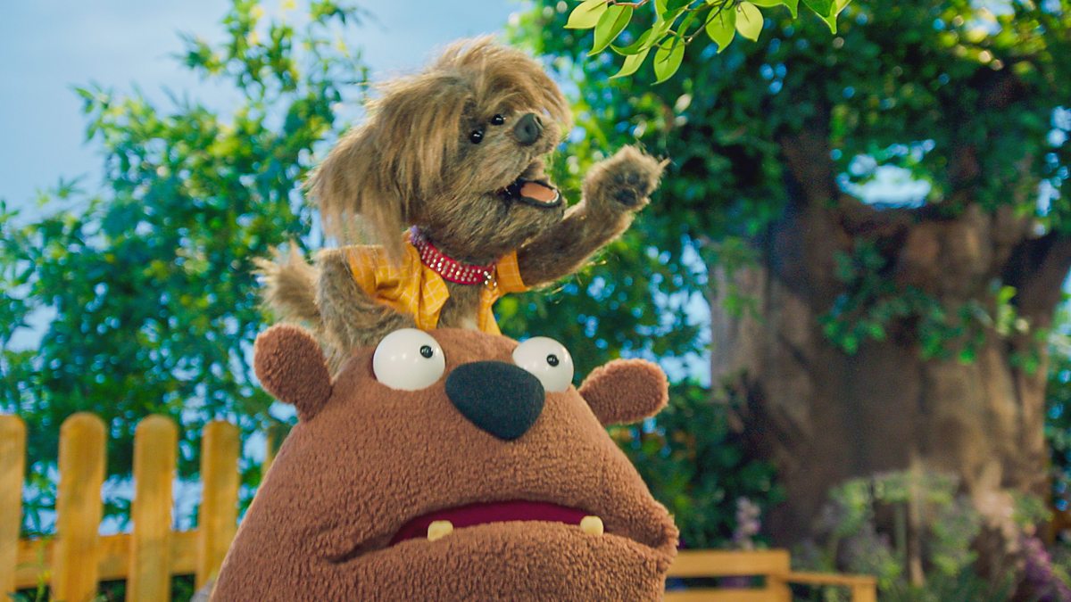 Dodge's Pup School - Series 2: 7. Mixed-Up Pups - BBC iPlayer