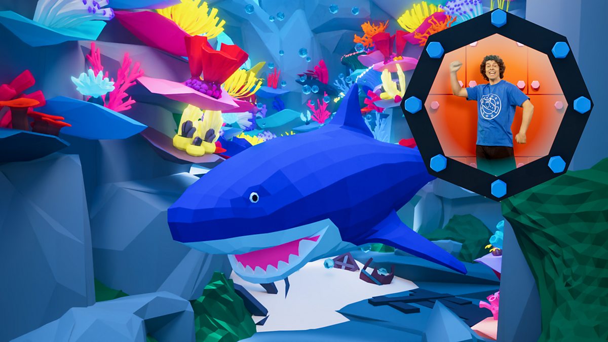 CBeebies - Go Explore… with Andy Day, Series 1, Snap the Shark