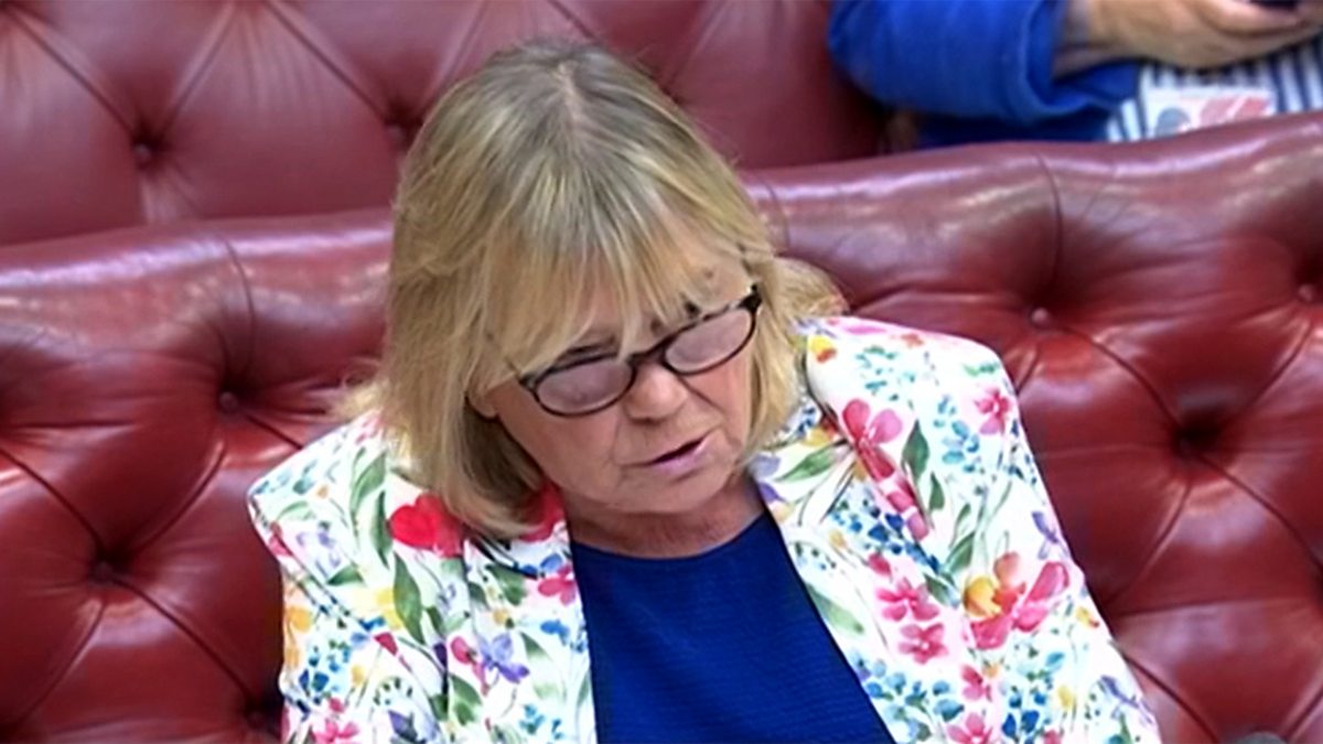 House of Lords - Planning and Infrastructure Bill, Part 1 - BBC iPlayer