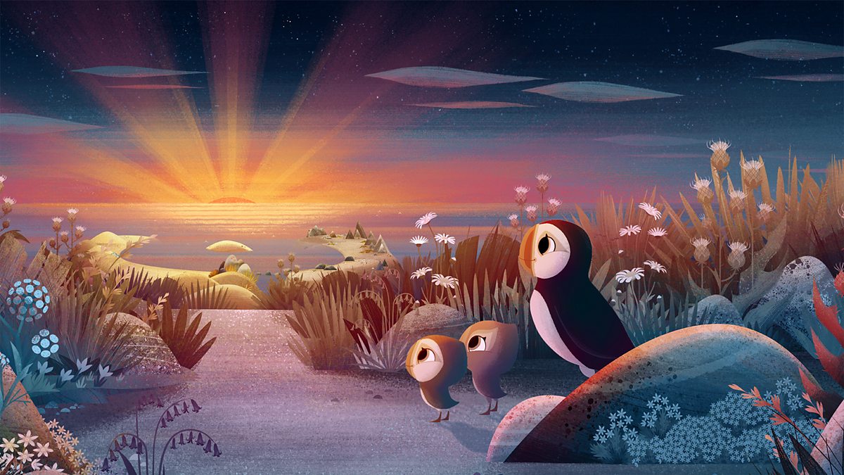 Puffin Rock - Series 3: 3. Rise and Shine - BBC iPlayer
