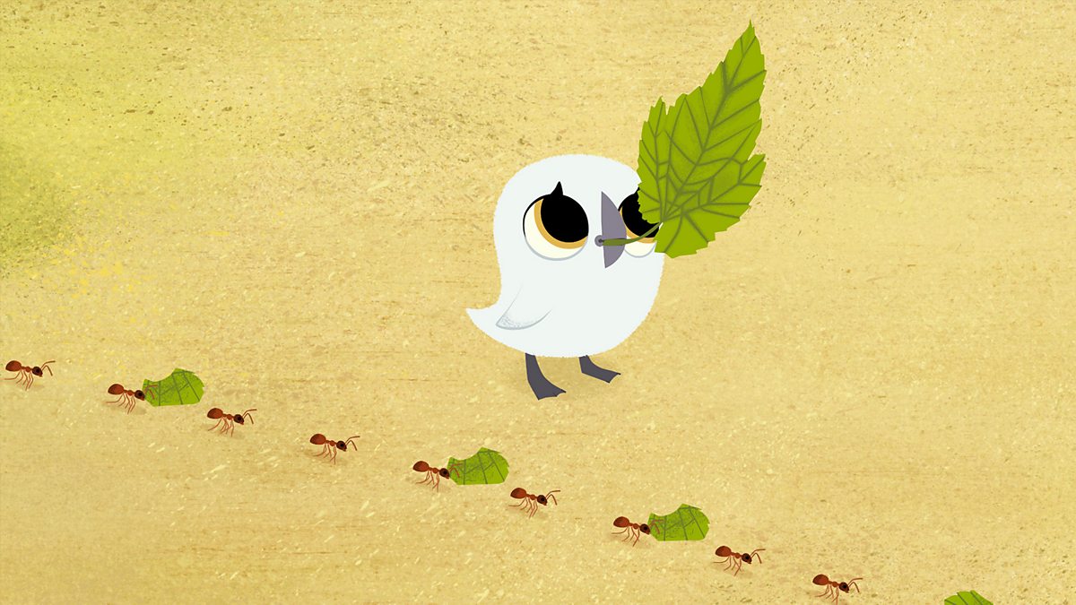 Puffin Rock - Series 3: 7. Bug Bug Buggies - BBC iPlayer