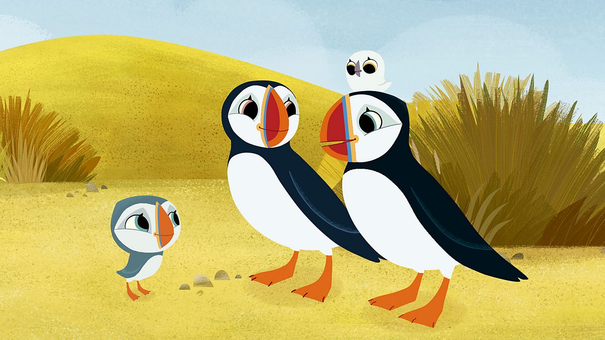 Puffin Rock - Series 3: 10. The Perfect Spot - BBC iPlayer