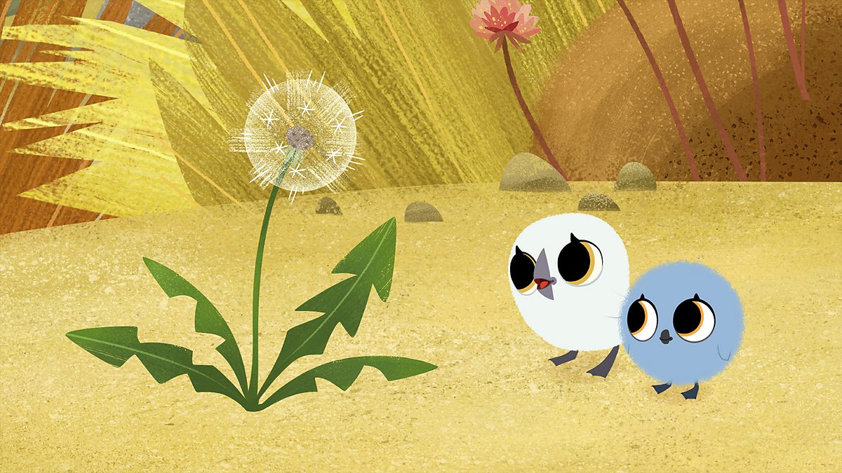 Puffin Rock - Series 3: 14. Dandelion Drift - BBC iPlayer