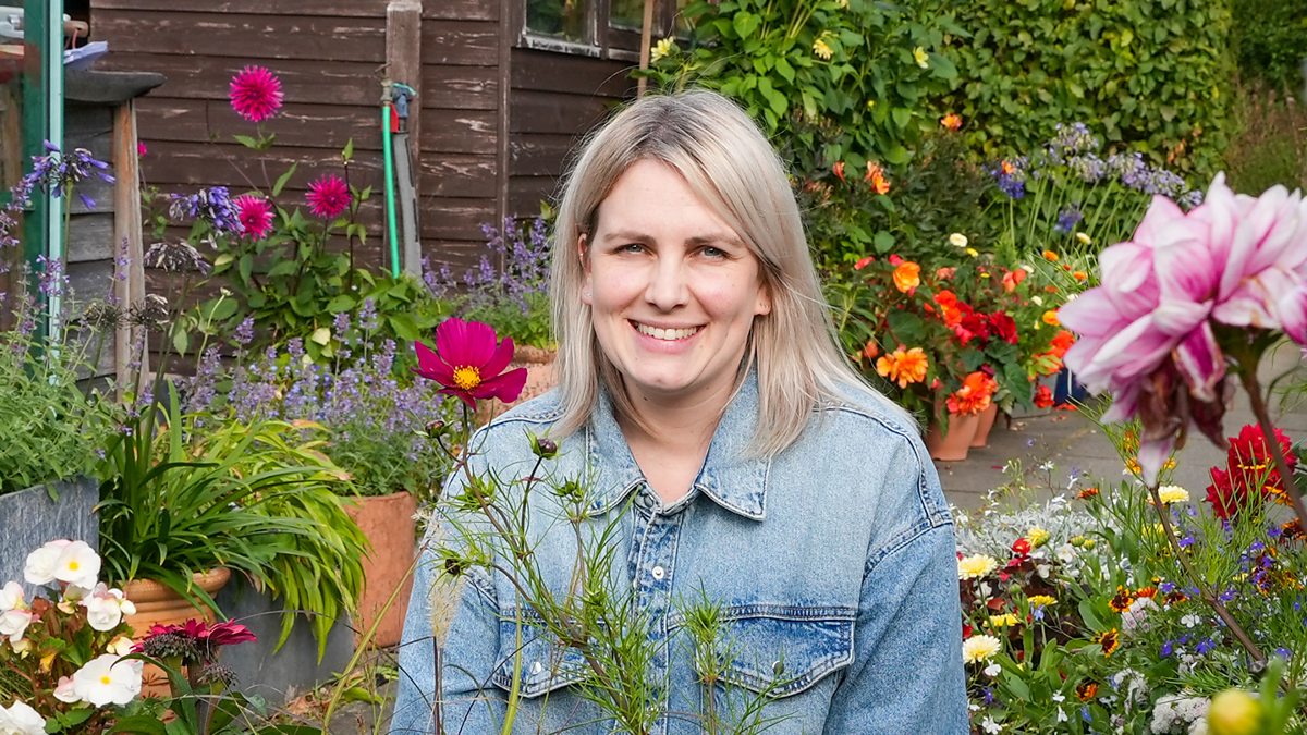 Beechgrove Garden - 2025: Episode 24 - BBC iPlayer