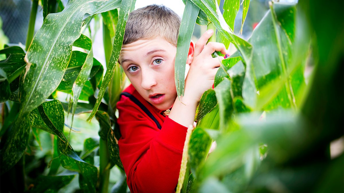 CBBC - Little Lunch, Series 1, The Old Climbing Tree