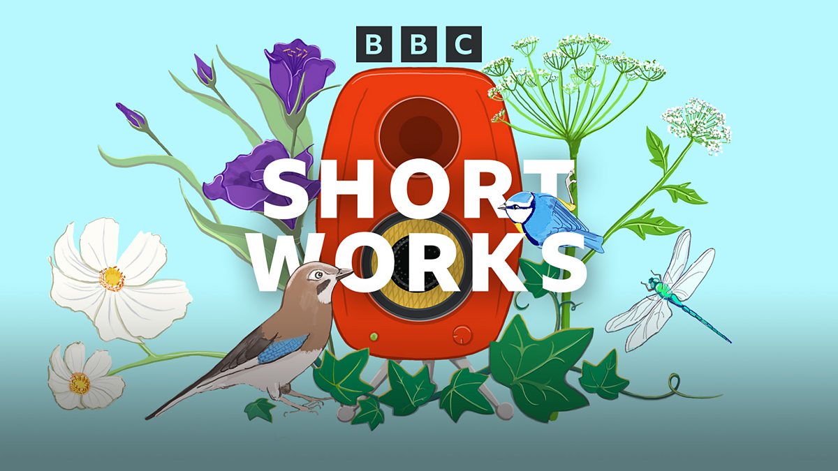 BBC Radio 4 - Short Works, Lahinch by Rachel Gough
