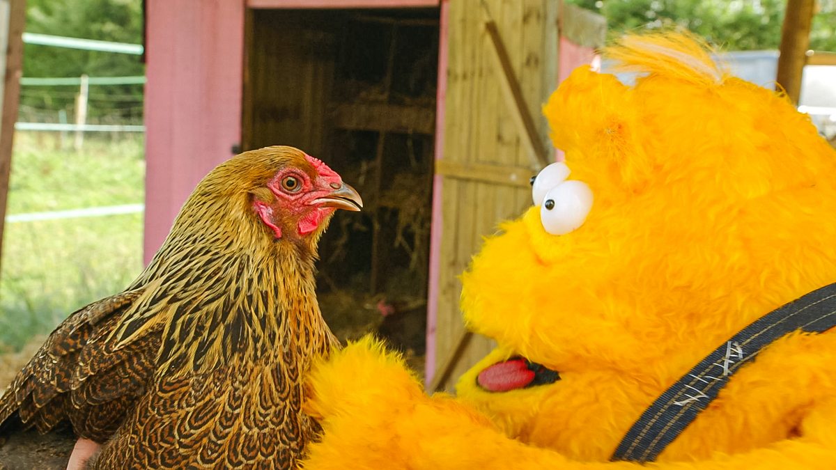 Saturday Mash-Up! Live - Stanley: 23. Stanley meets ... Kia's Farm ...